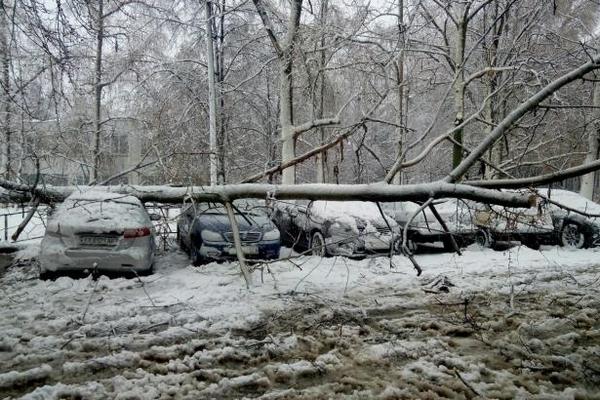 To remedy effects of snow disaster in Kharkiv cost about UAH 10 million ...